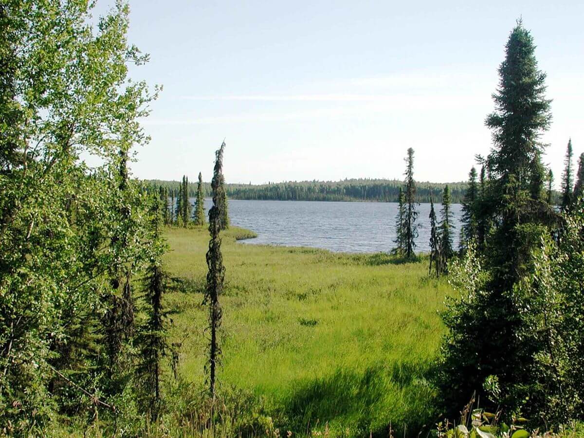 Lean Six Sigma Training & Consulting in Tanaina, Alaska (AK)